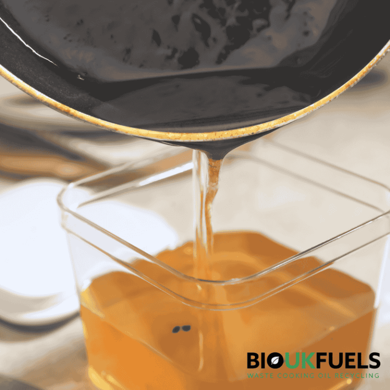 Is Rapeseed oil healthy? - BioUKFuels